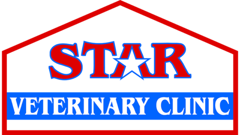 Best Veterinary Hospital In Star, ID 83669 | Star Veterinary Clinic